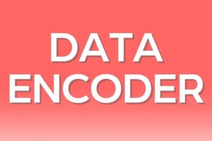 Job Description of Data Encoder: Complete Guide (2026)